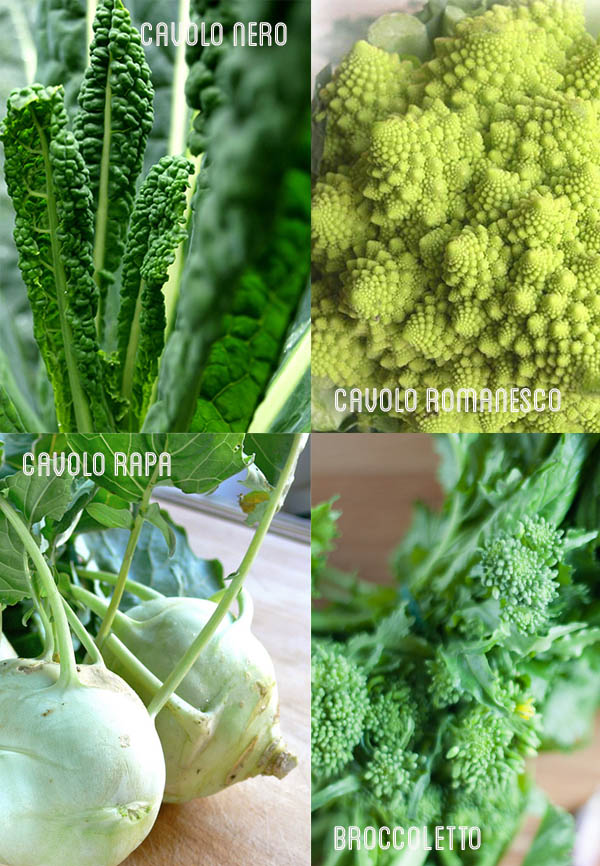 Il Cavolo delle Meraviglie, Una Verdura che Conosciamo da Sempre ...